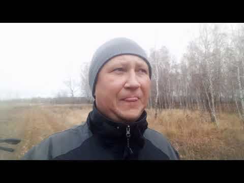НАВИГАТОР В ЛЕСУ